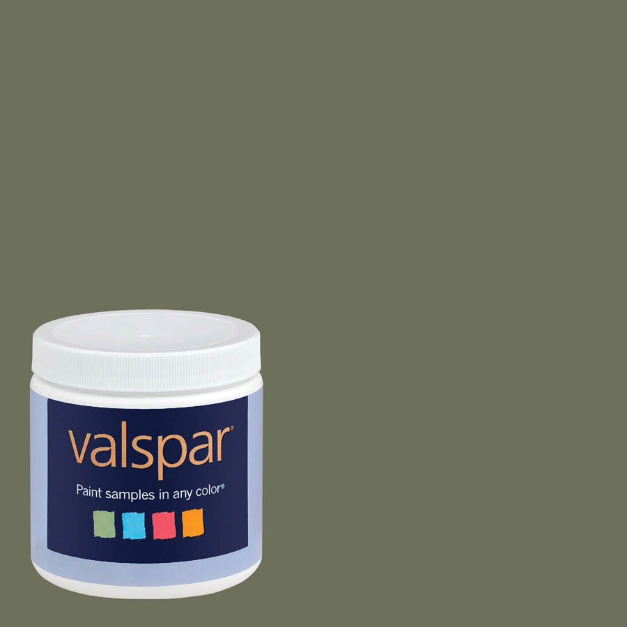 Creative Ideas for Color by Valspar Wild Basil Interior Satin Paint ...