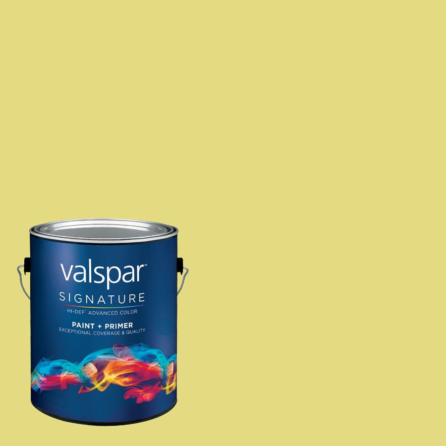 Creative Ideas for Color by Valspar Gallon Interior Satin Paint and ...