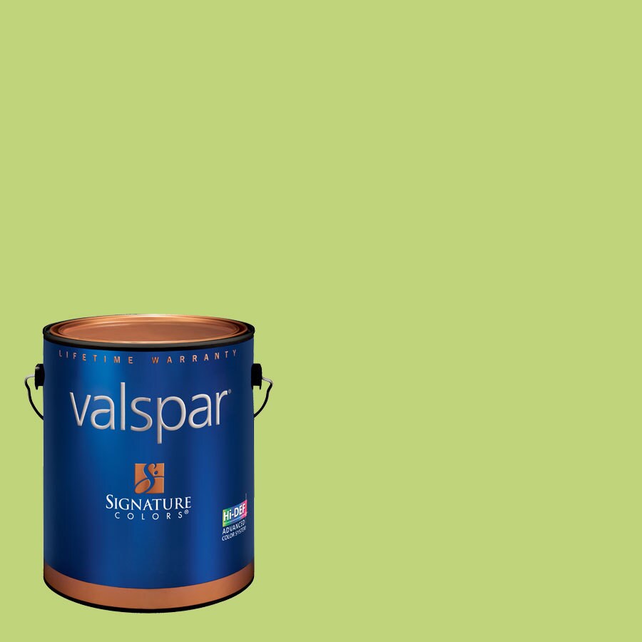 Creative Ideas for Color by Valspar Gallon Interior Satin Paint and ...