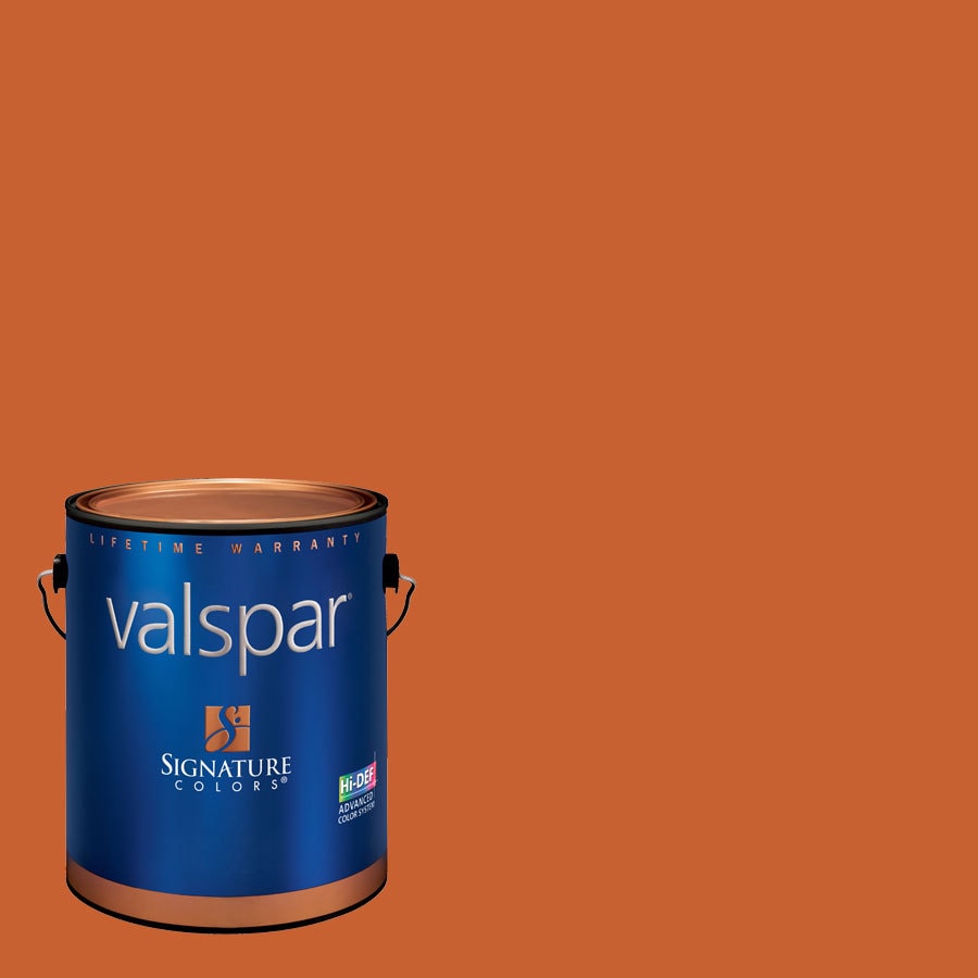 Creative Ideas for Color by Valspar Satin Earthen Rose Pre-tinted Latex ...