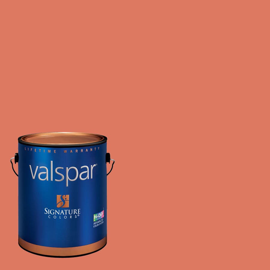 Creative Ideas for Color by Valspar Satin Ginger Wrap Pre-tinted Latex ...