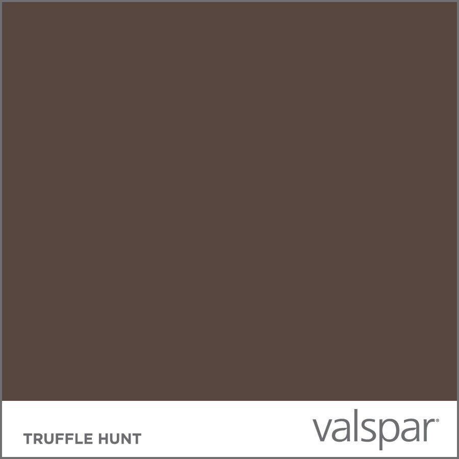 Valspar 6-Pack Satin Truffle Hunt Spray Paint and Primer In One (NET WT ...