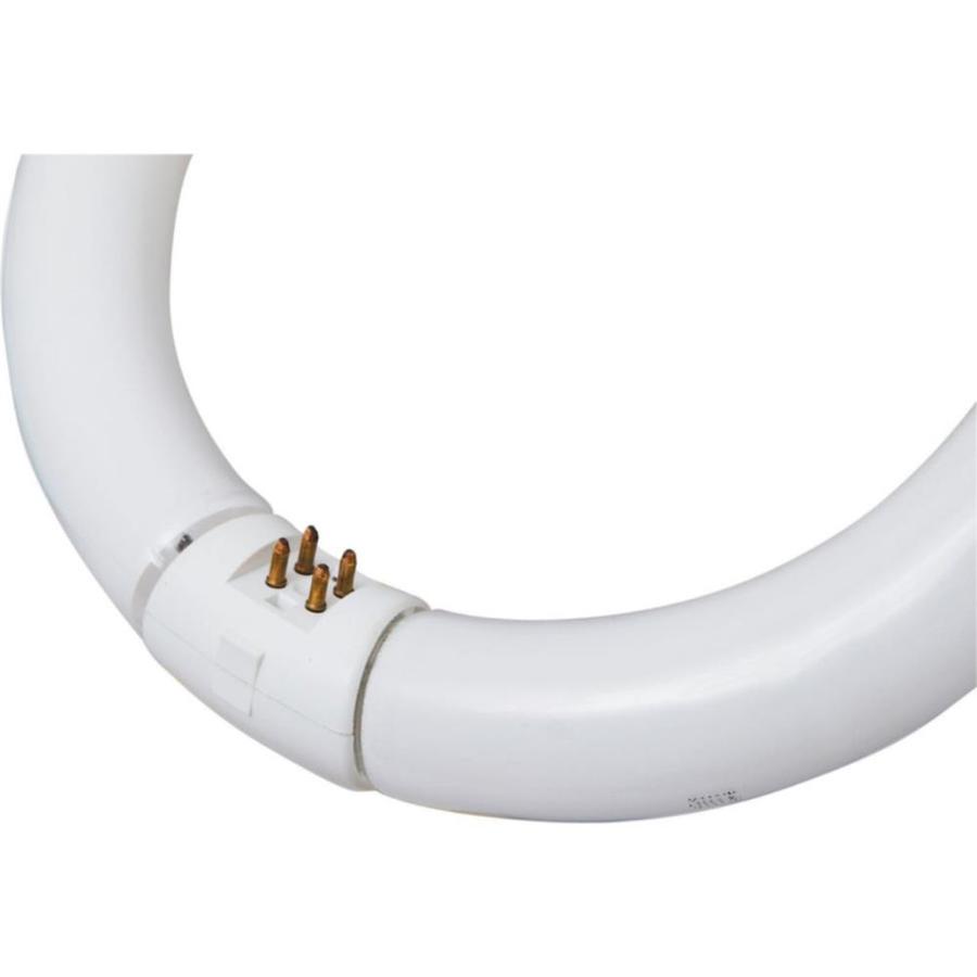 GE 32-Watt 12-in 4-pin Circline 3000 K Soft White Circline Fluorescent ...