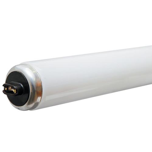 GE Ecolux 59-Watt 96-in Recessed Double Contact (T12) 4100 K Cool White ...