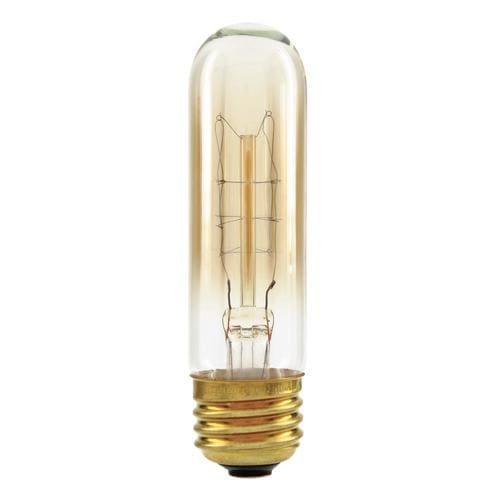 GE 60-Watt Dimmable T9 Vintage Light Fixture Incandescent Light Bulb in ...