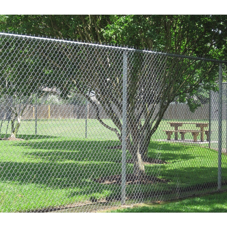 6-ft H x 10-ft W 11.5 -Gauge Galvanized Steel Chain Link Fence Fabric 2 ...