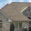 Owens Corning TruDefinition Duration 32.8-sq ft Amber Laminated ...