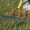 True Temper 15-in Thatching Rake at Lowes.com