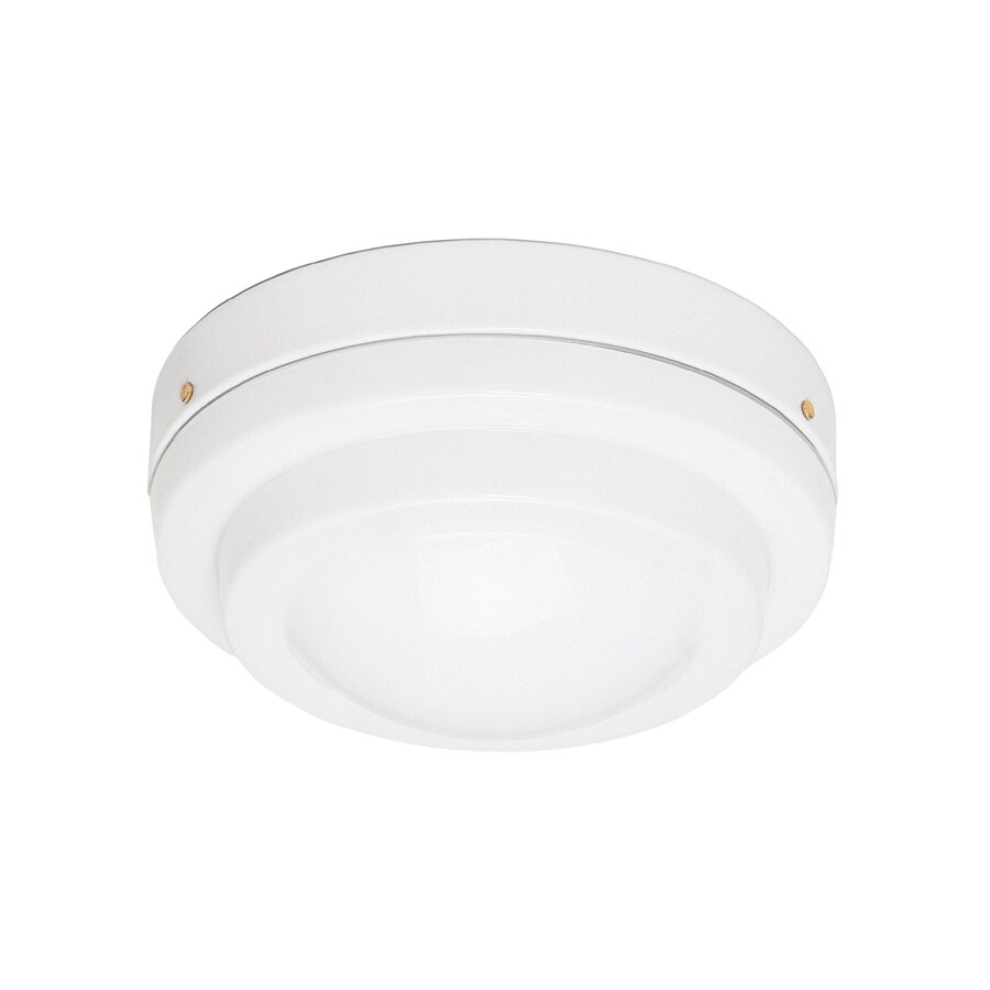 Hunter 2-Light Standard Medium Base Cfl (Included) Ceiling Fan at Lowes.com