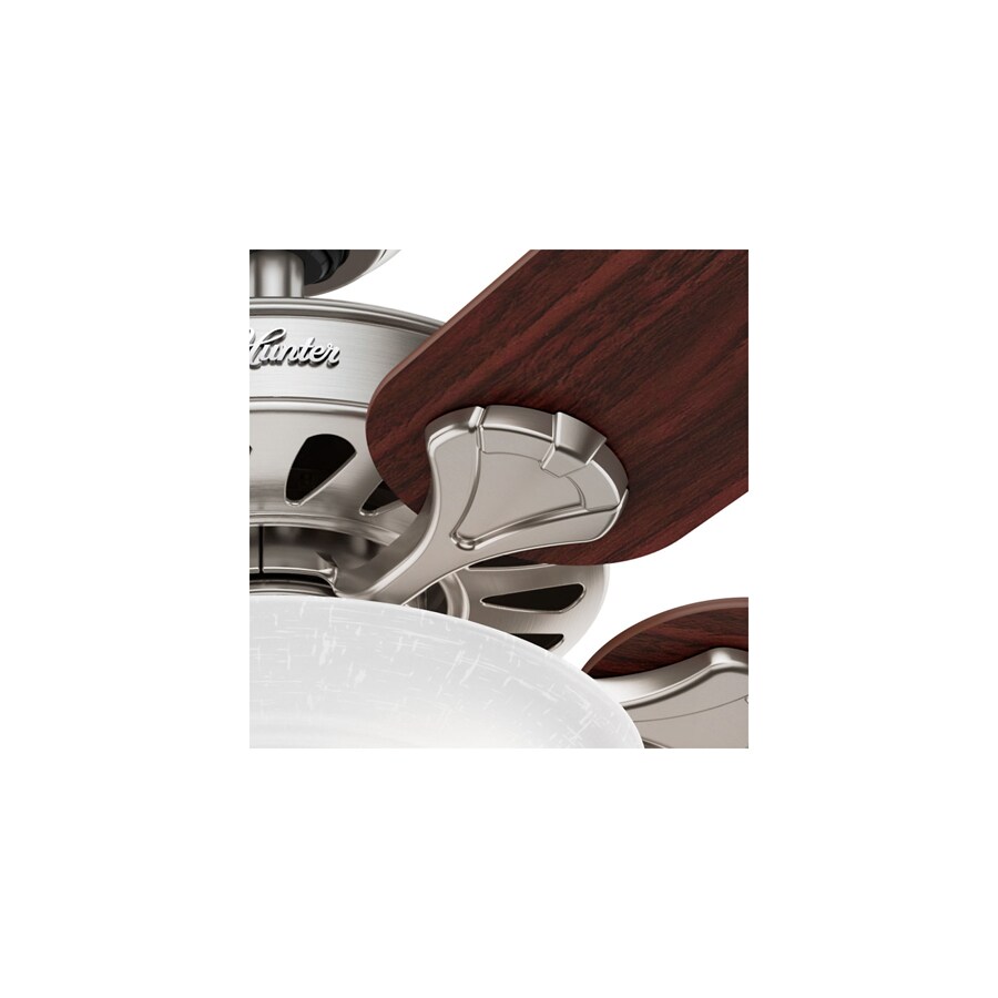 Hunter Five Minute Fan 52-in Ceiling Fan with Light Kit (5-Blade) at ...