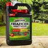 Spectracide Triazicide for Lawns and Landscapes 1-Gallon Insect Killer ...