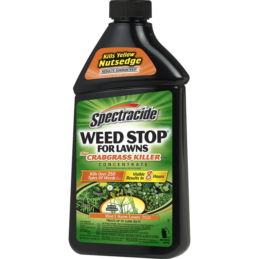 Spectracide SPEC 32-OZ WS PLUS CRAB CONC at Lowes.com