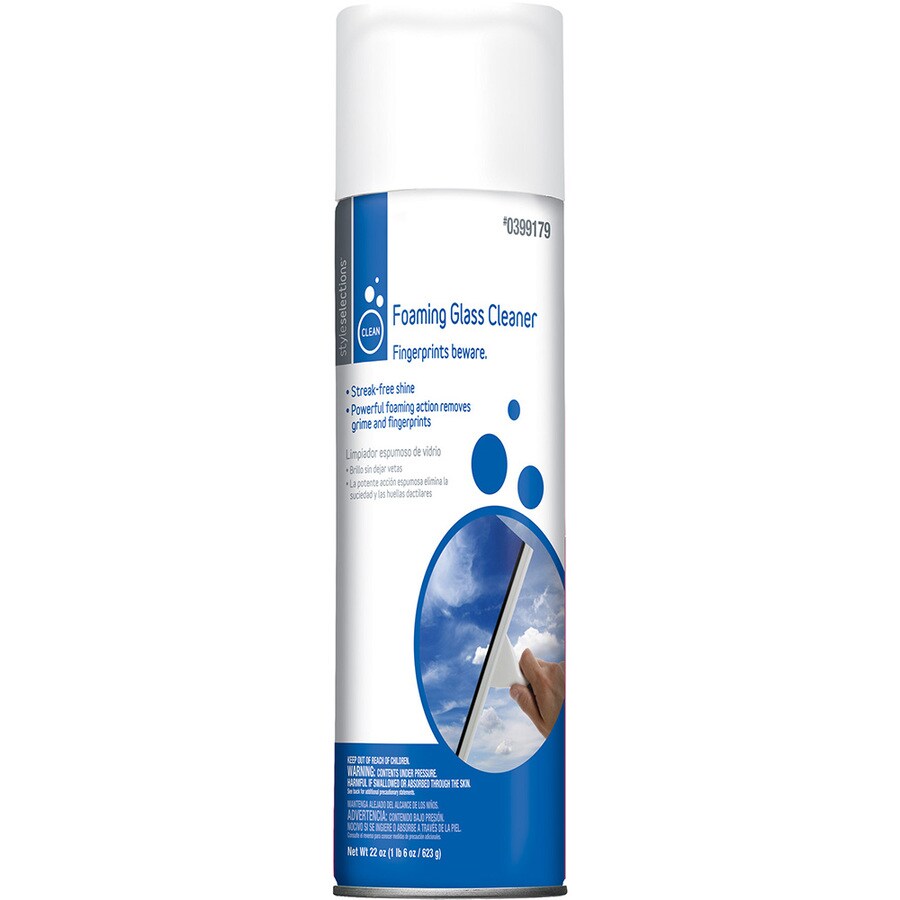 Style Selections 22 Ounces Aerosol Spray Glass Cleaner at Lowes.com