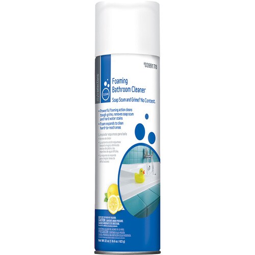 Style Selections 22-oz Foam Multipurpose Bathroom Cleaner in the ...
