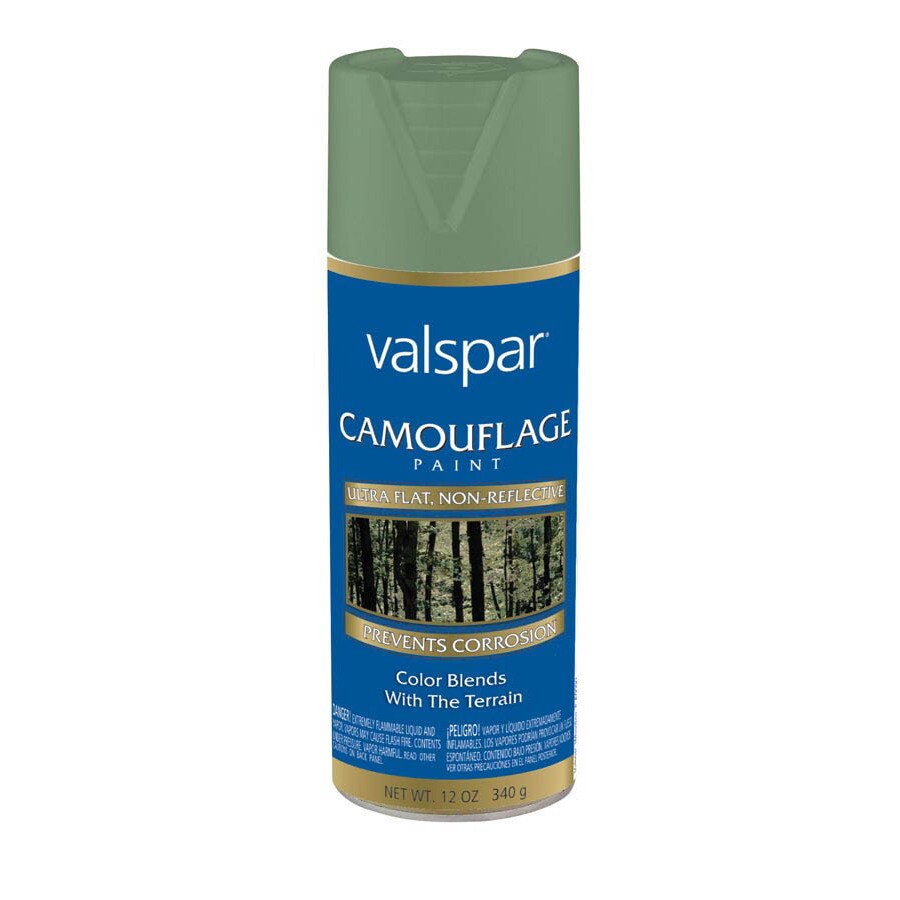 Valspar 12-oz Green Flat Spray Paint at Lowes.com