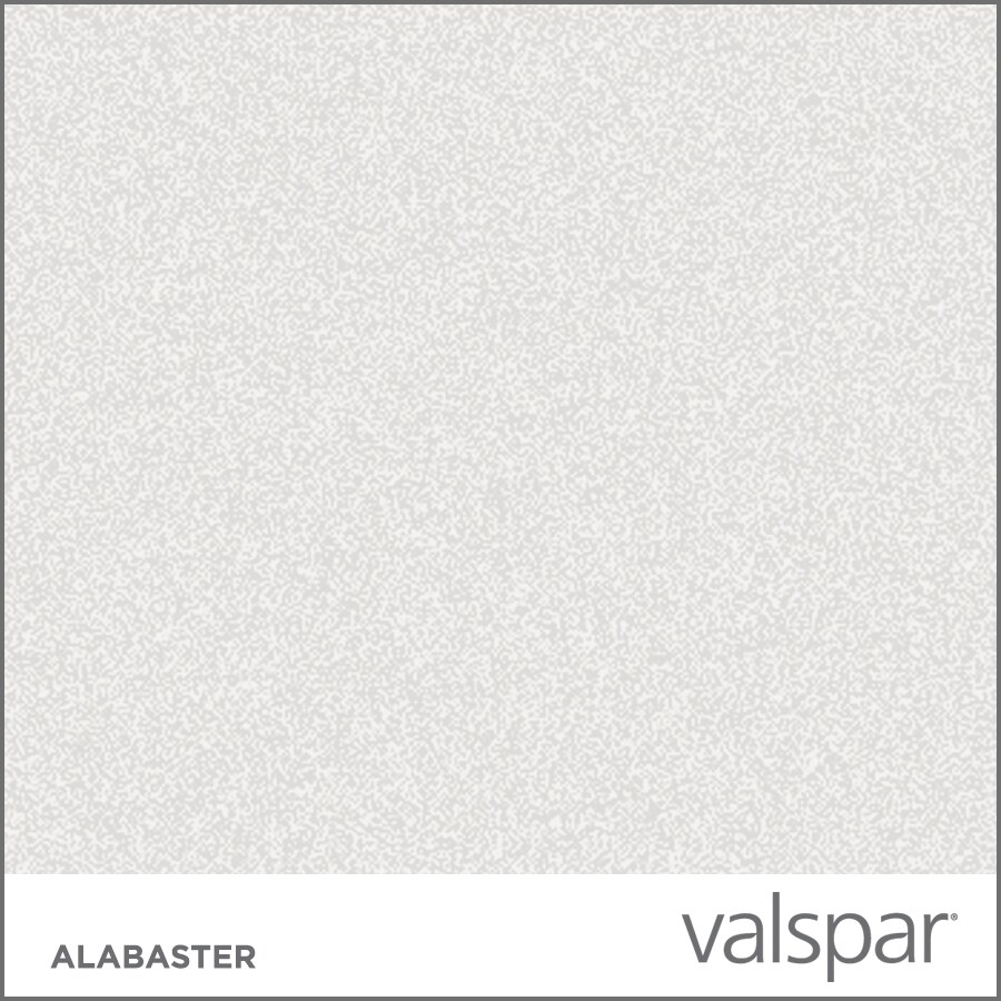 Valspar 6-Pack Flat Alabaster Sandstone Spray Paint (NET WT. 12-oz) in ...