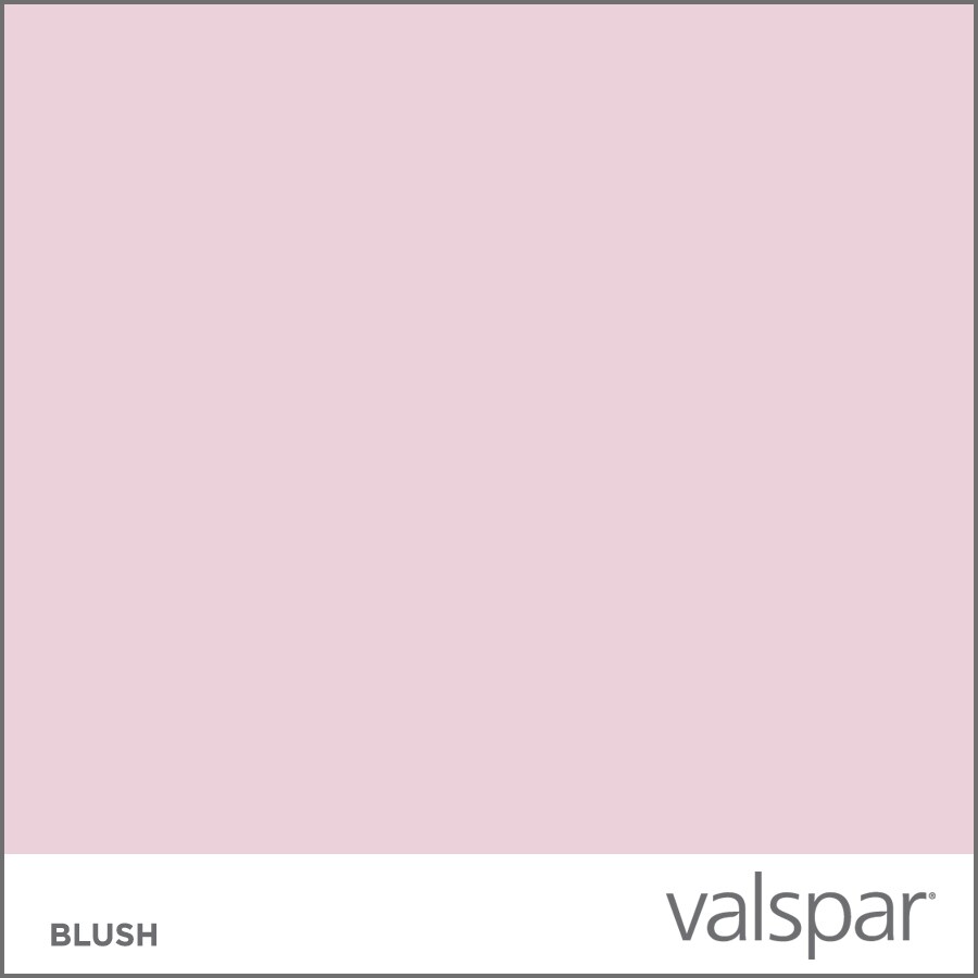 Valspar 6-Pack Gloss Blush Milk Glass Spray Paint (NET WT. 12-oz) in ...