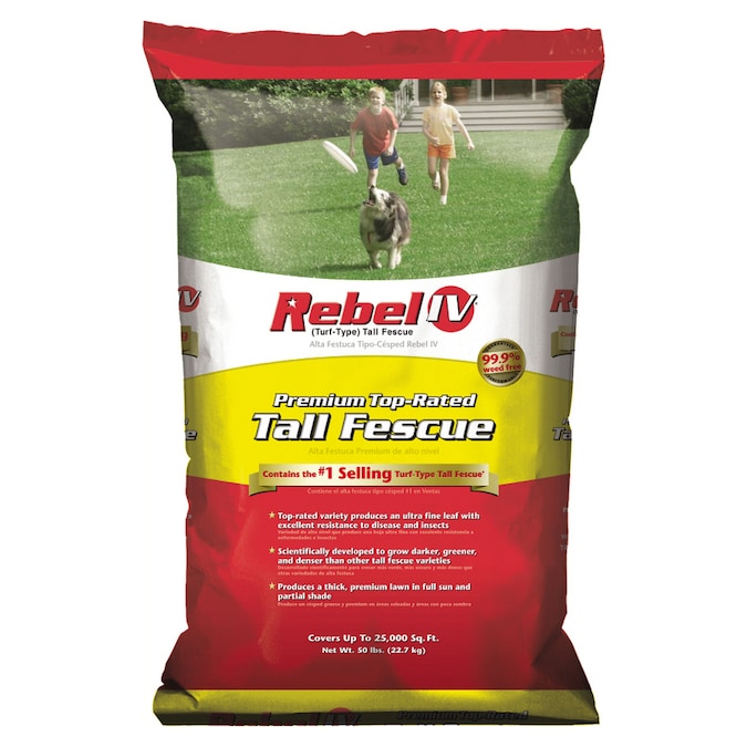 Rebel 50lb Rebel Iv Tall Fescue In The Grass Seed Department At