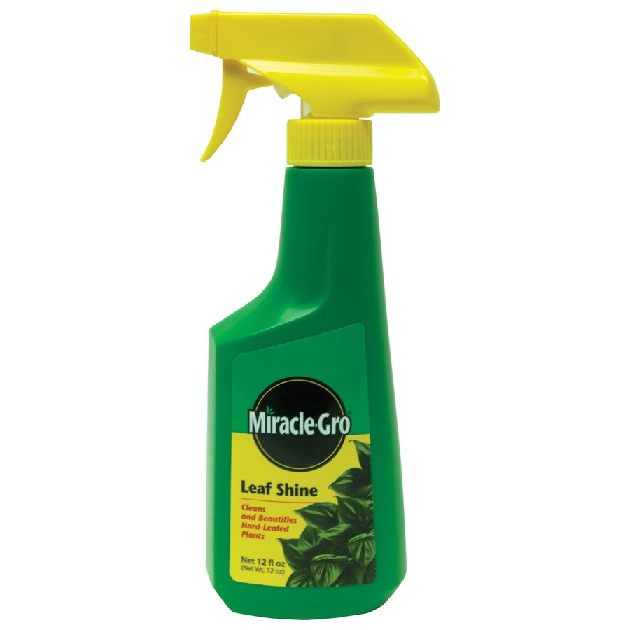 Miracle-Gro 12-fl oz Leaf Shiner at Lowes.com