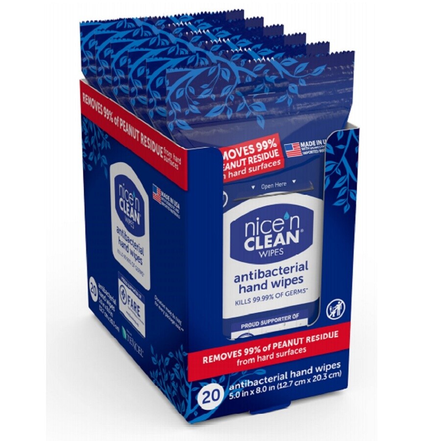 nice'N Clean 20-Pack 20-Count Fragrance-Free Hand Sanitizer Wipes in ...