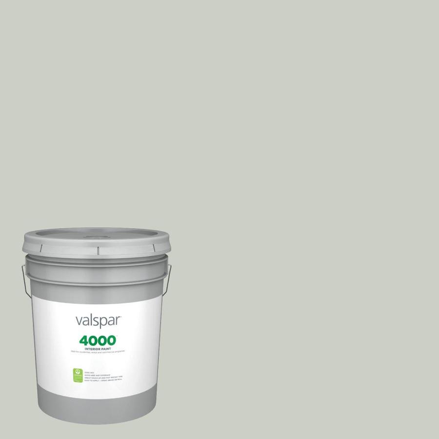 Valspar 4000 Flat Sparkling Sage 5005-3b Interior Paint (5-Gallon) in ...