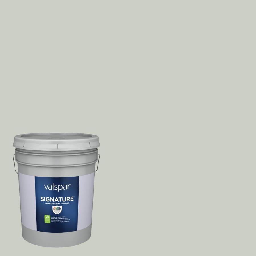 Valspar Signature Satin Sparkling Sage 5005-3b Interior Paint (5-Gallon ...