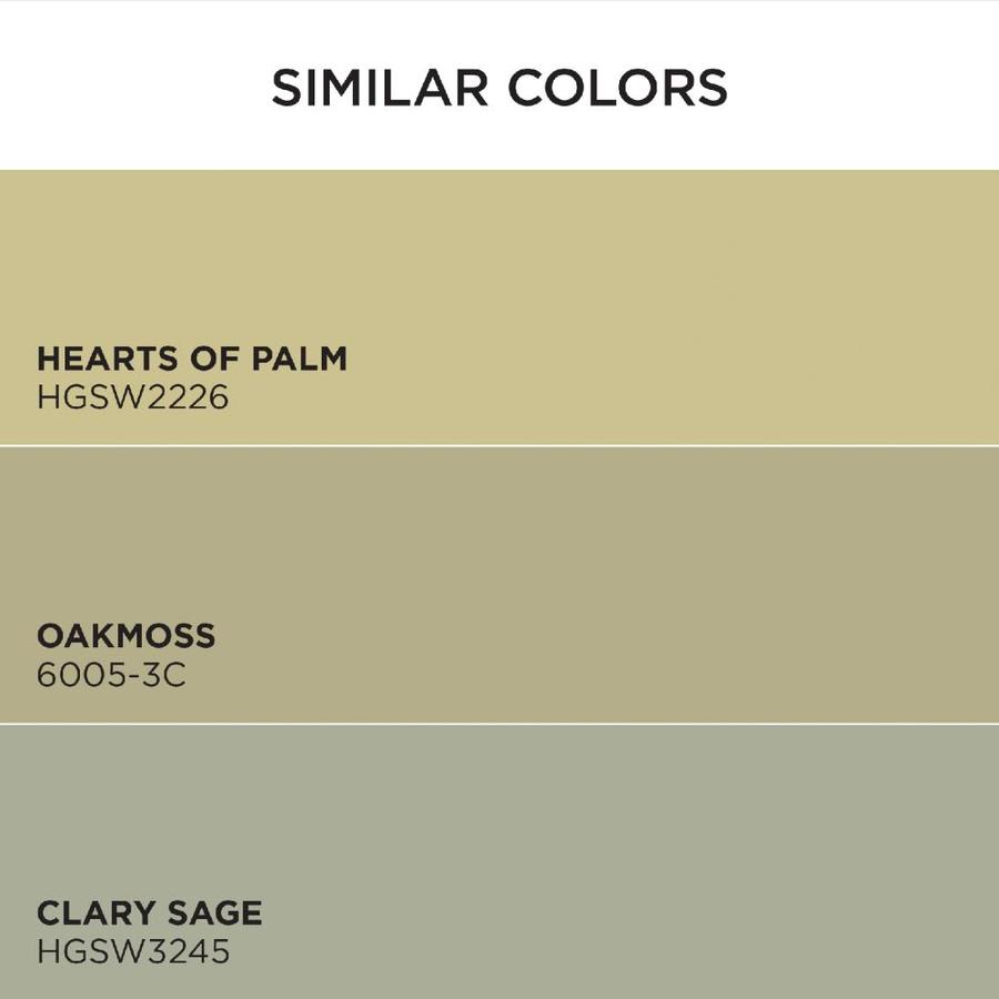 HGTV HOME by Sherwin-Williams Showcase Semi-Gloss Bamboo Shoot Hgsw7733 ...