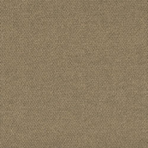Pebble Path 15-Pack Chestnut Pattern Peel-and-stick Carpet Tile in the ...