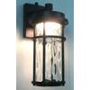 Allen + roth Clear Spring 13.5-in H Black LED Outdoor Wall Light at ...