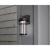 Allen + roth Clear Spring 13.5-in H Black LED Outdoor Wall Light at ...
