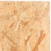 Shop 23/32 CAT PS2-10 OSB Sheathing, Application as 4 x 8 at Lowes.com