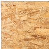 Shop 19/32 CAT PS2-10 OSB Sheathing, Application as 4 x 8 at Lowes.com