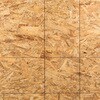 Shop 19/32 CAT PS2-10 OSB Sheathing, Application as 4 x 8 at Lowes.com