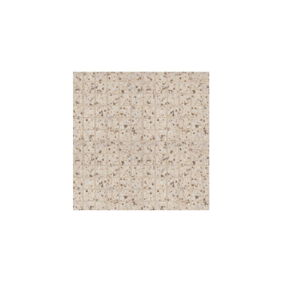 American Olean 15-Pack 12-in x 24-in Buff Granite Thru Body Porcelain ...