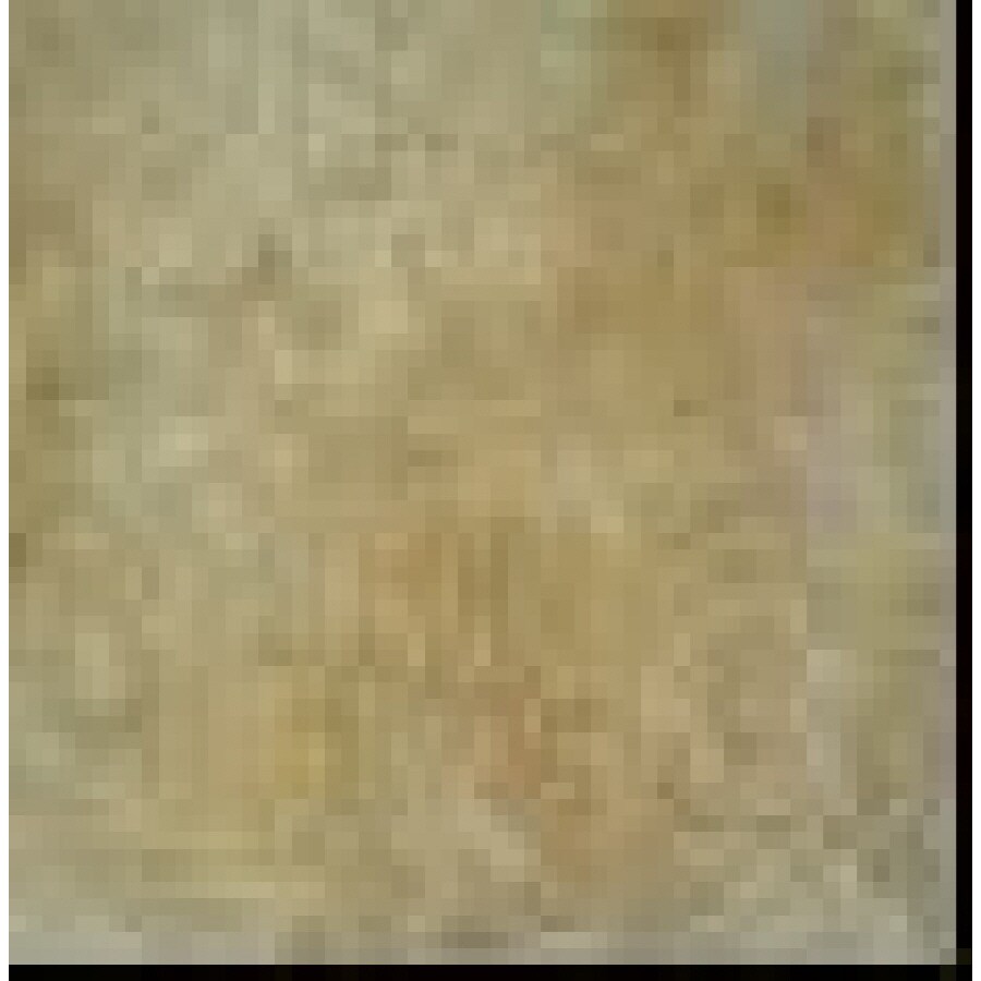 GBI Tile & Stone Inc. Capri Gold Glazed Thru-Body Porcelain Wall Tile ...