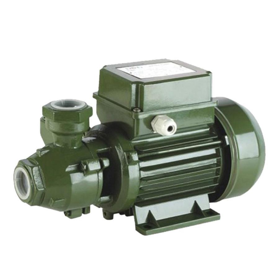 SAER 1-HP Cast iron High lift pump at Lowes.com