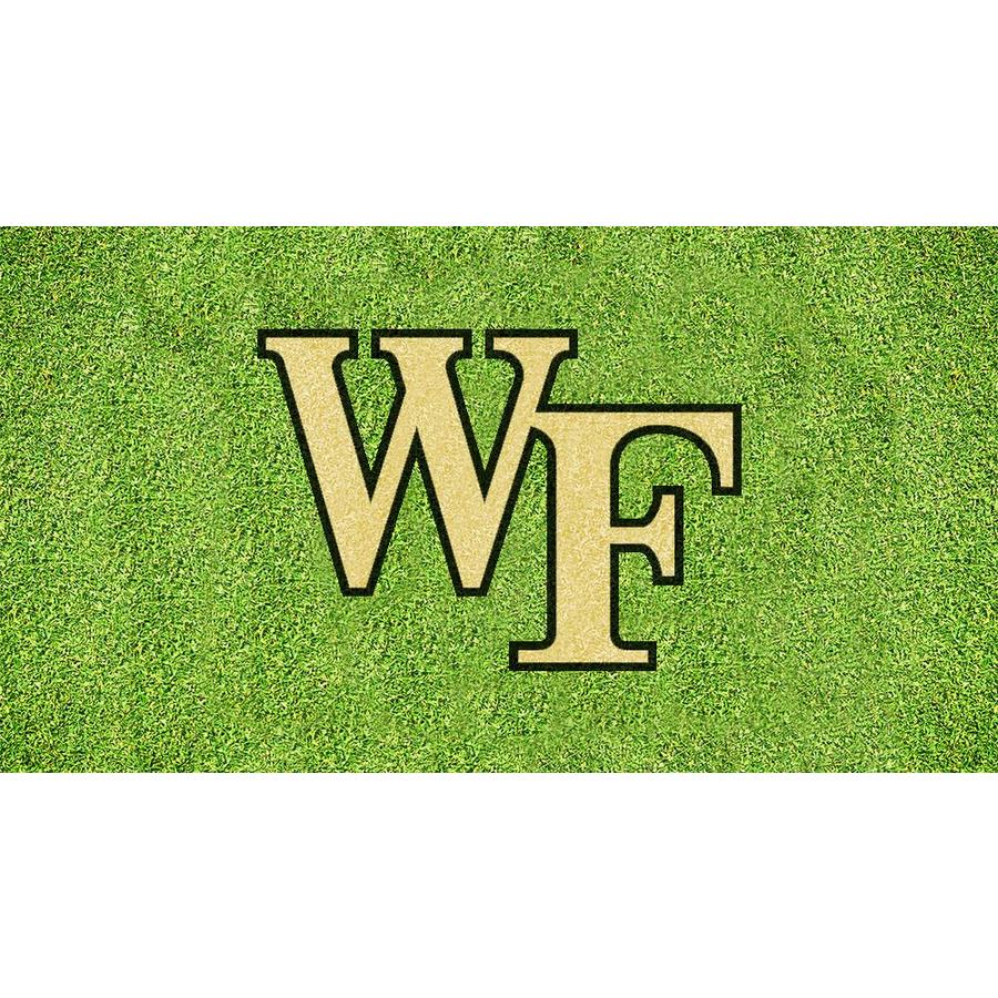 U-Stencil Wake Forest WF Stencil Kit in the Craft Supplies department ...