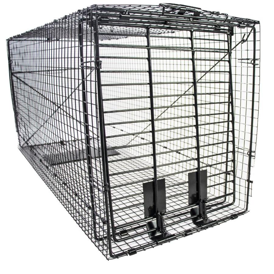 Backyard Expressions Humane Way 6.94-sq ft Animal Trap (Non-Lethal) in ...