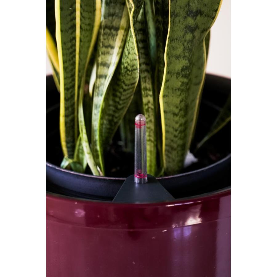 XBrand 15.75-in W x 29.53-in H Red Plastic Self Watering in the Pots ...