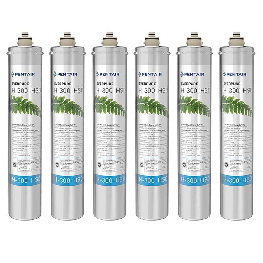 Pentair Everpure Everpure Carbon Block Under Sink Replacement Filter in ...