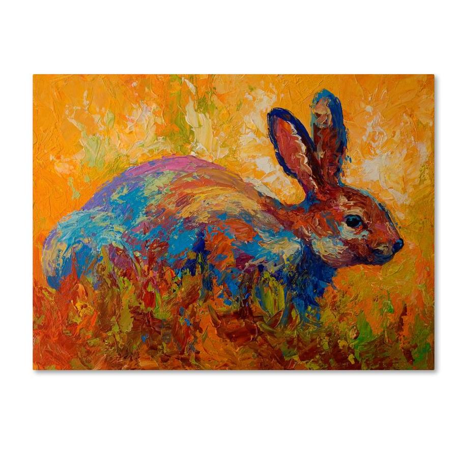 Trademark Fine Art Marion Rose "Rabbit II" 14x19 Canvas Art in the Wall ...