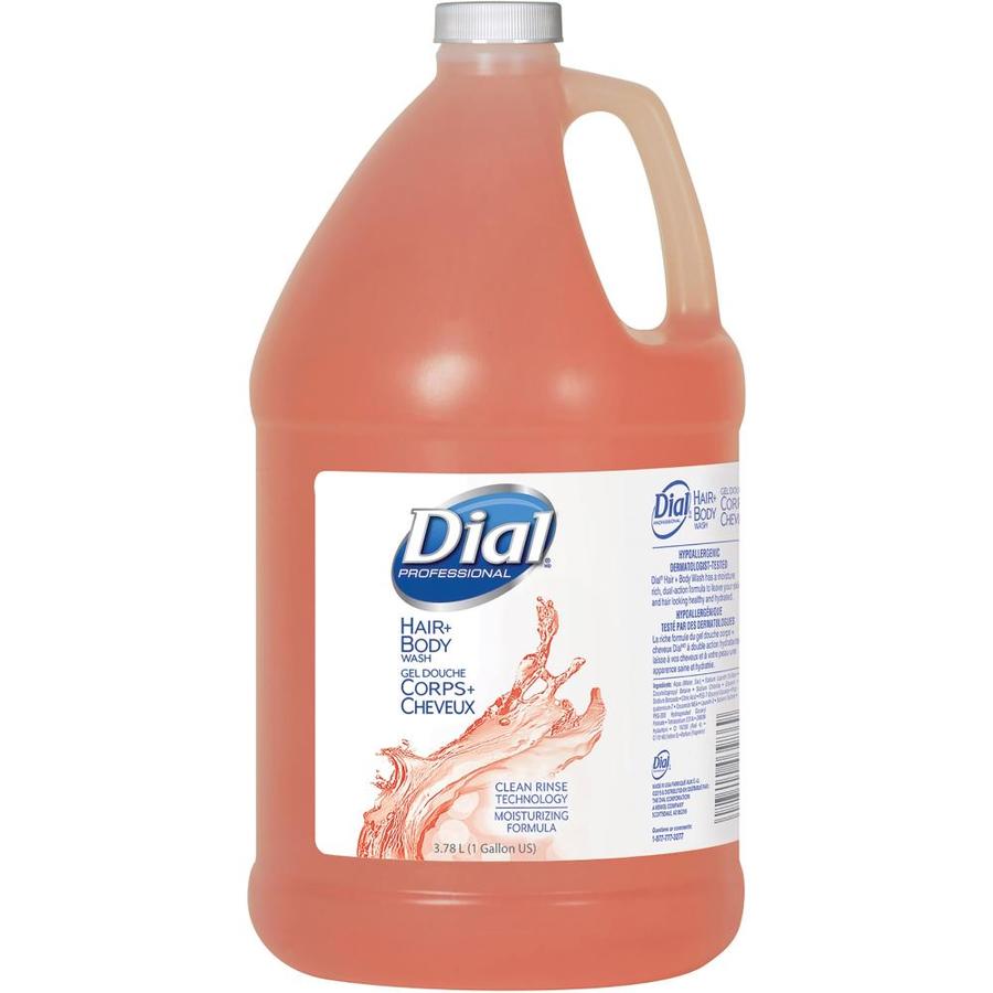 Dial 4-Pack 3.8-Liter Foaming Hand Soap in the Hand Soap department at ...
