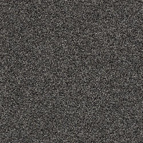 Shaw Wide Width Sculpture II 15 ft- Soot 15-ft Textured Soot Interior ...