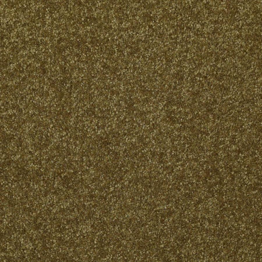 Shaw Wide Width Chambers Green Apple Carpet Sample at Lowes.com