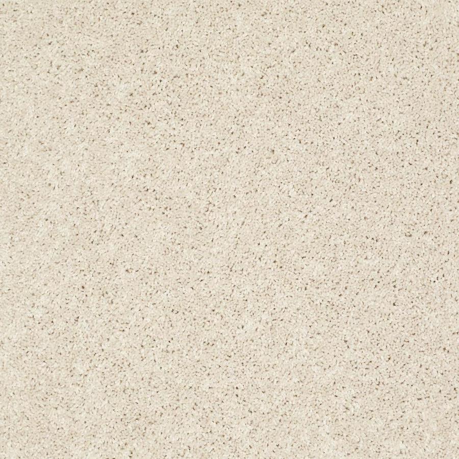 Shaw Hubbard 12 Ft Angel Cloud Carpet Sample at Lowes.com