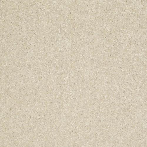 Shaw Cornerstone Intuition I 12-ft Dove Wing Carpet Sample in the ...