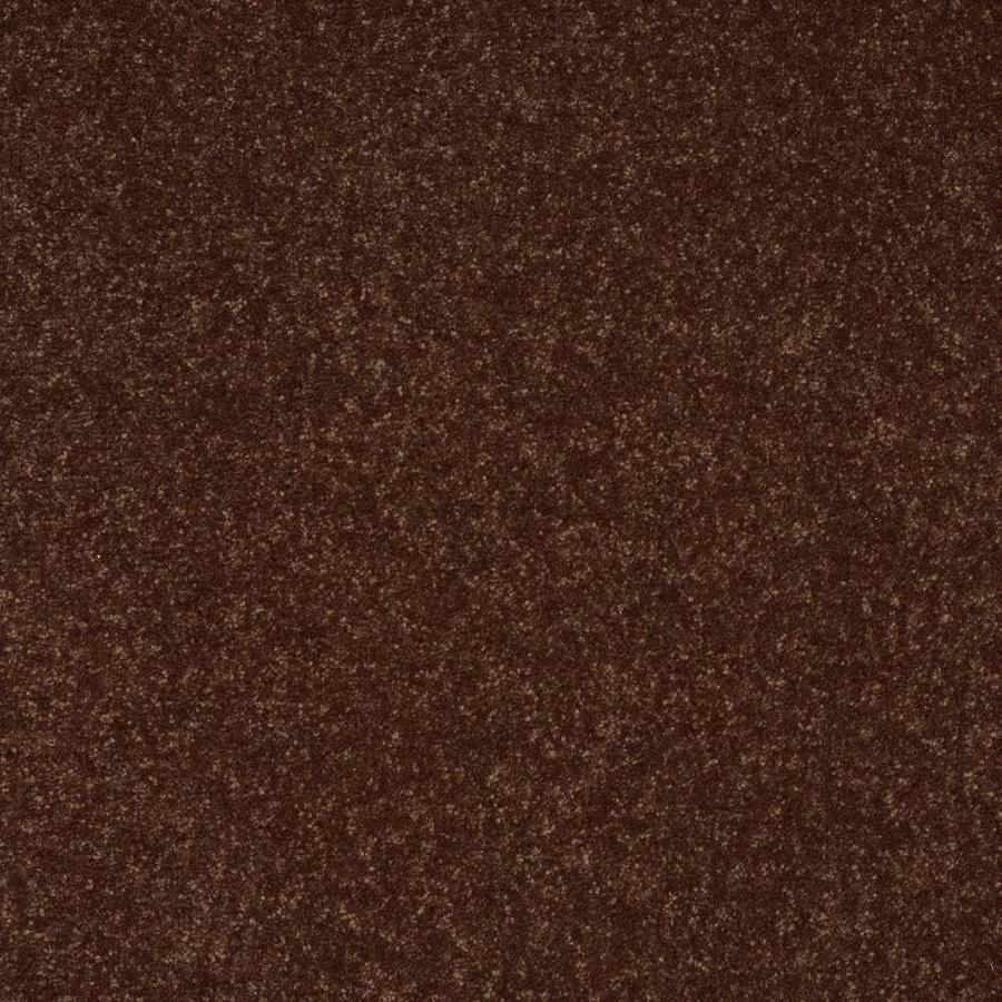 Shaw Intuition I 12 Ft Raisin Carpet Sample at Lowes.com