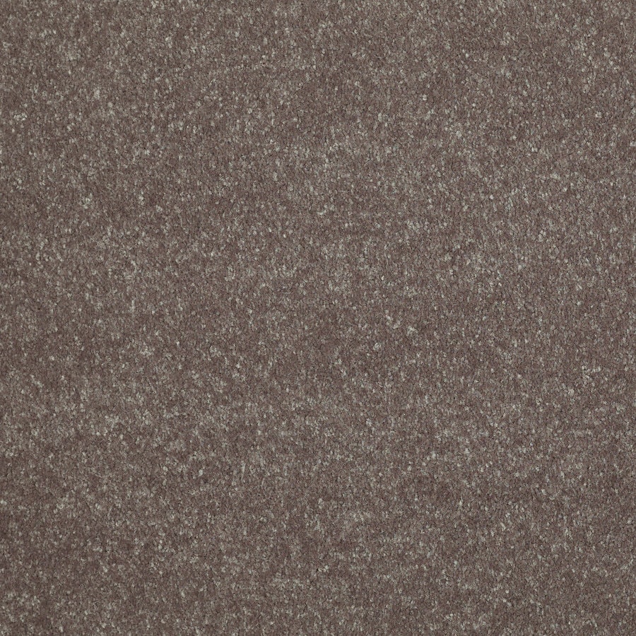 Shaw Intuition II 12 Ft Tree Bark Carpet Sample at Lowes.com