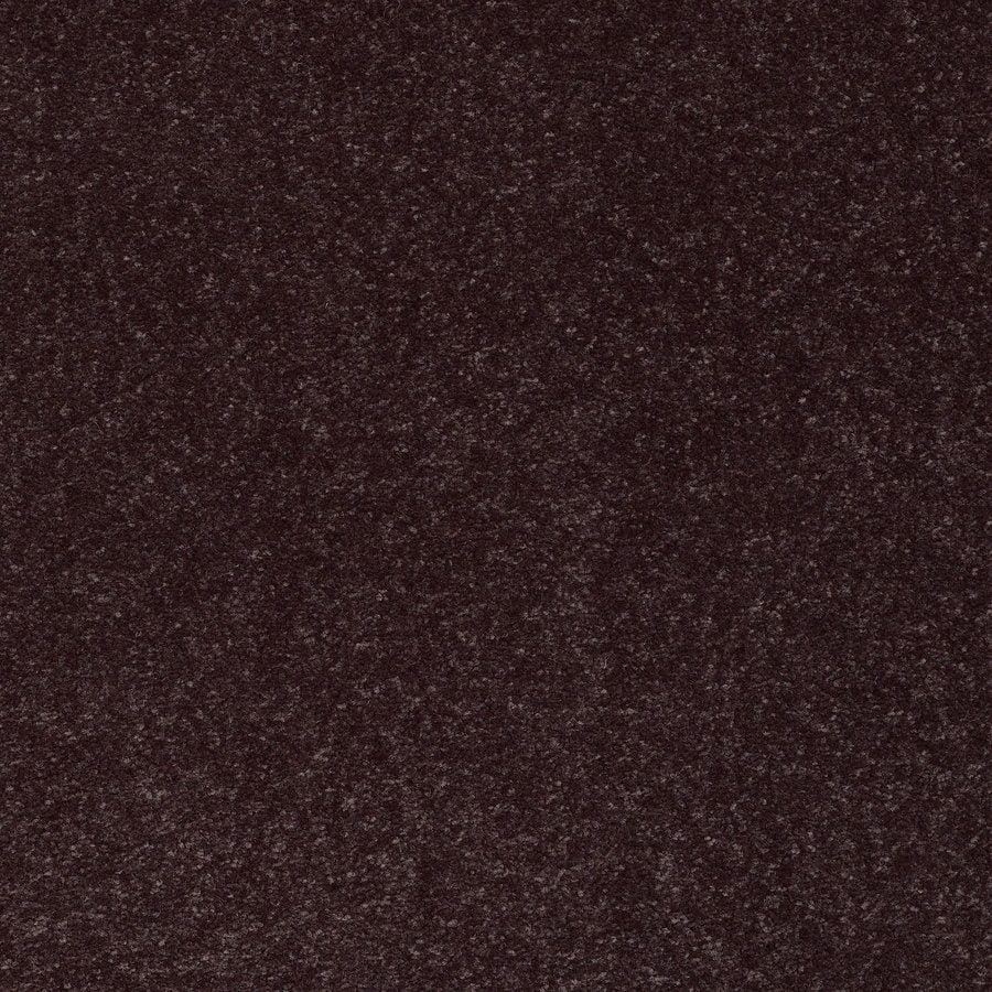 Shaw Cornerstone Intuition III Dark Chocolate Carpet Sample at Lowes.com