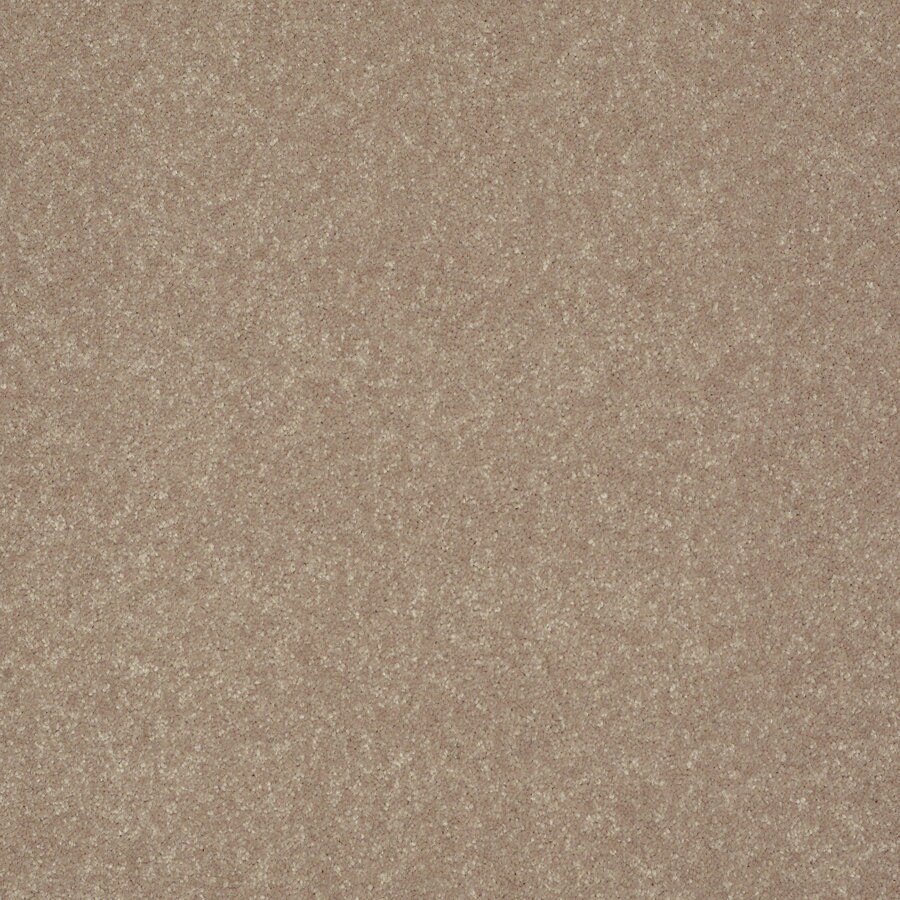 Shaw Cornerstone Intuition III Oatmeal Carpet Sample at Lowes.com